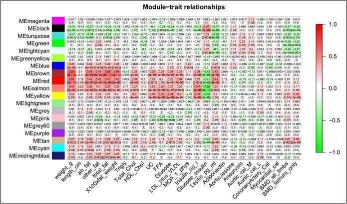 生信人WGCNA系列：WGCNA图文详解(一)-Module-trait associations图 - 知乎
