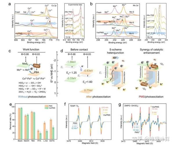 新进展||哈尔滨工业大学nature communications：光激发S型异质结协同活化PMS - 知乎