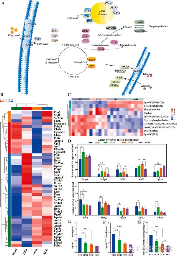如何整合转录组和代谢组分析结果，这篇文章交了一份完美答卷 - 知乎