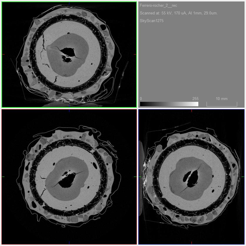 应用分享 | 三维X射线显微镜（3D XRM/Micro CT）技术在食品科学研究中的应用 - 知乎