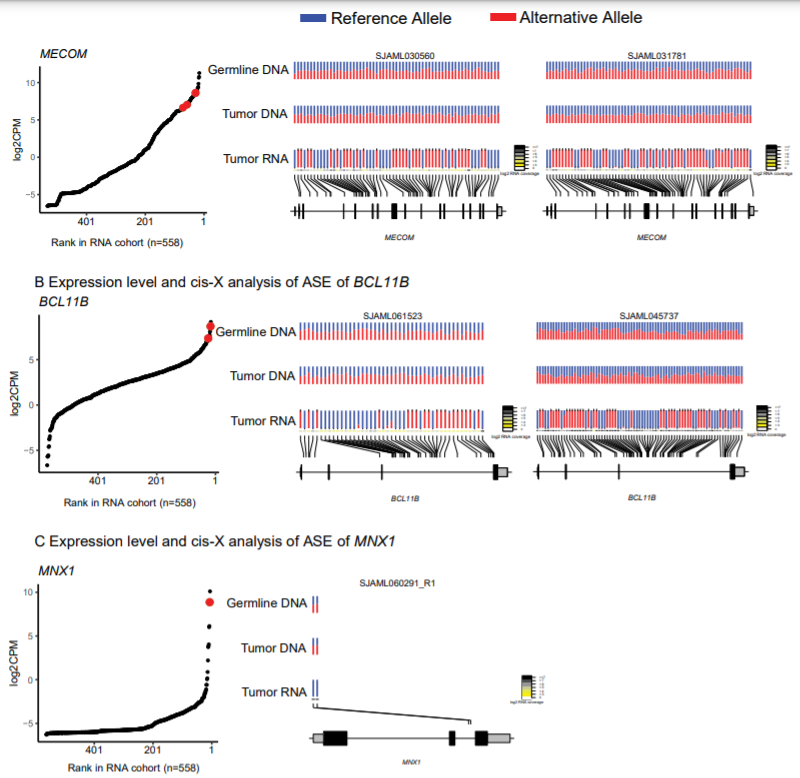 Blood Can Dis | UBTF串联重复与儿童急性髓系白血病复发的关系 - 知乎