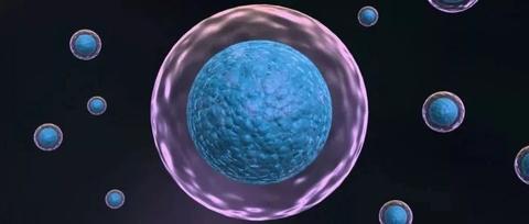 Seurat绘图报错-Error in Ops.data.frame(guide_loc, panel_loc) - 知乎