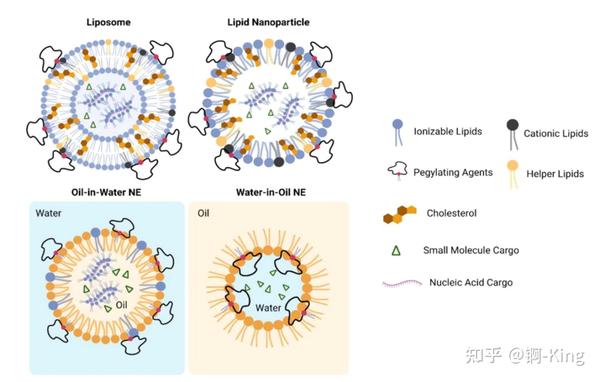 脂质纳米颗粒(LNP)在肿瘤免疫治疗中的应用 - 知乎