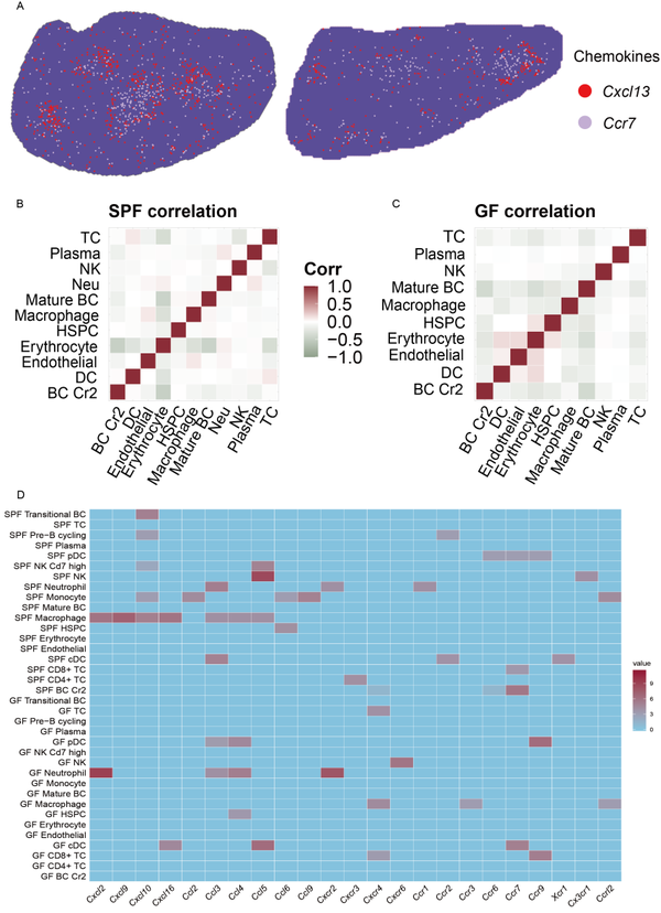 一作详解 | scRNA-seq和Stereo-seq联合分析揭示微生物群塑造小鼠脾脏解剖结构和免疫功能 - 知乎