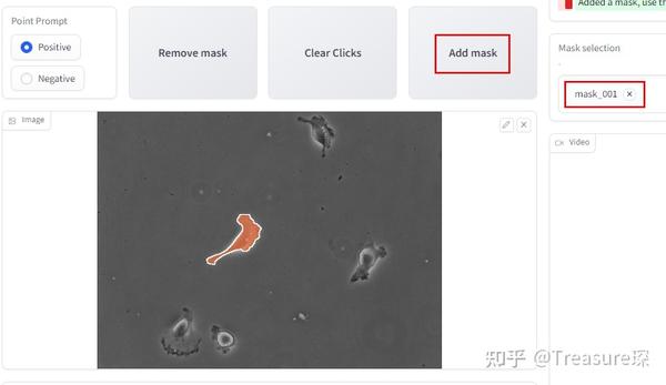 利用Track-Anything进行细胞追踪 - 知乎