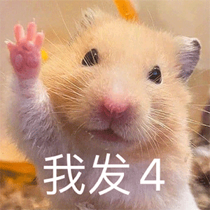 116张专门和女孩子聊天用的表情包 - 知乎