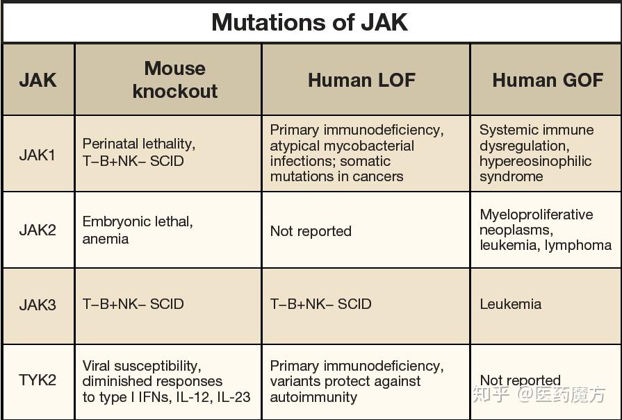 JAK抑制剂「图鉴」 - 知乎