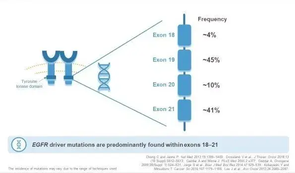君实/微境EGFR-Exon 20插入等非常见突变抑制剂AP-L1898胶囊（JS111）临床申请获NMPA受理 - 知乎