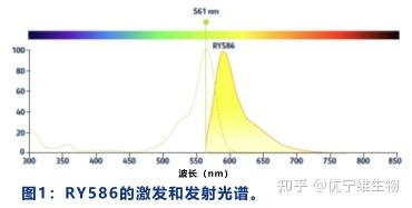 新鲜出炉~BD Horizon RealYellow TM 586光谱优化激光特异性荧光染料！ - 知乎