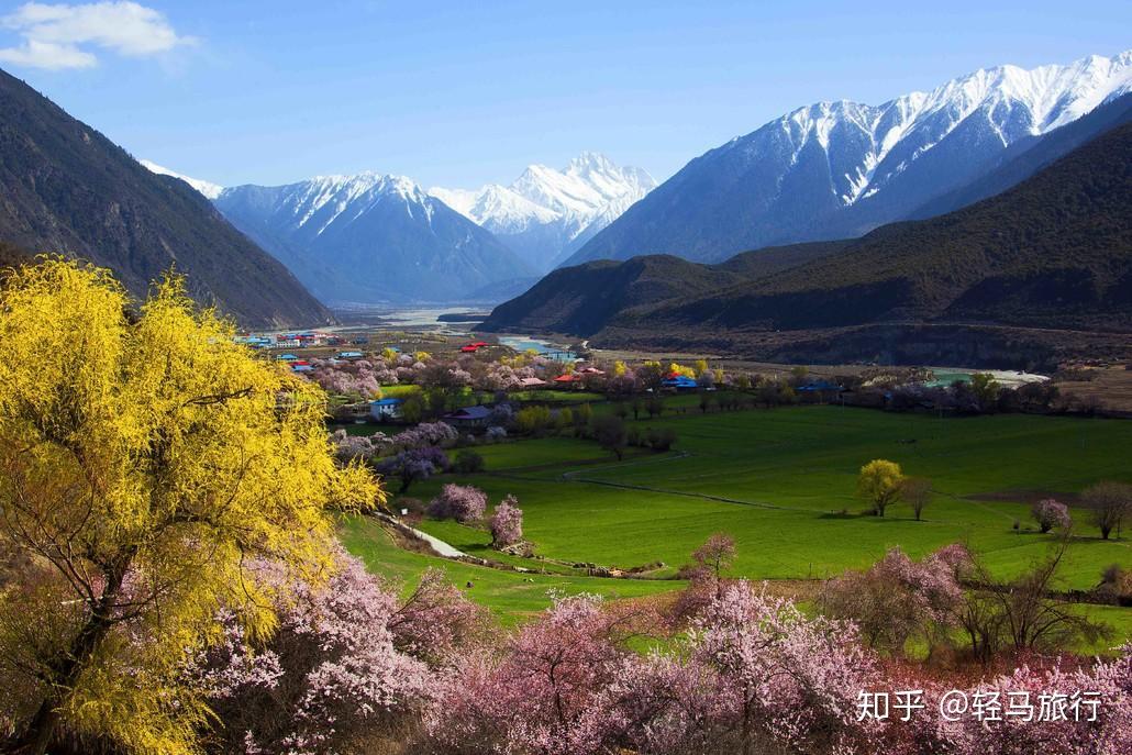 西藏林芝是一座什么样的城市？ 知乎
