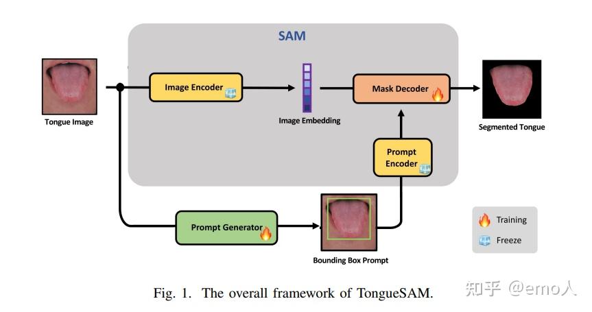 23年9月始阅读过的SAM相关文章总结[2024/4/2] - 知乎