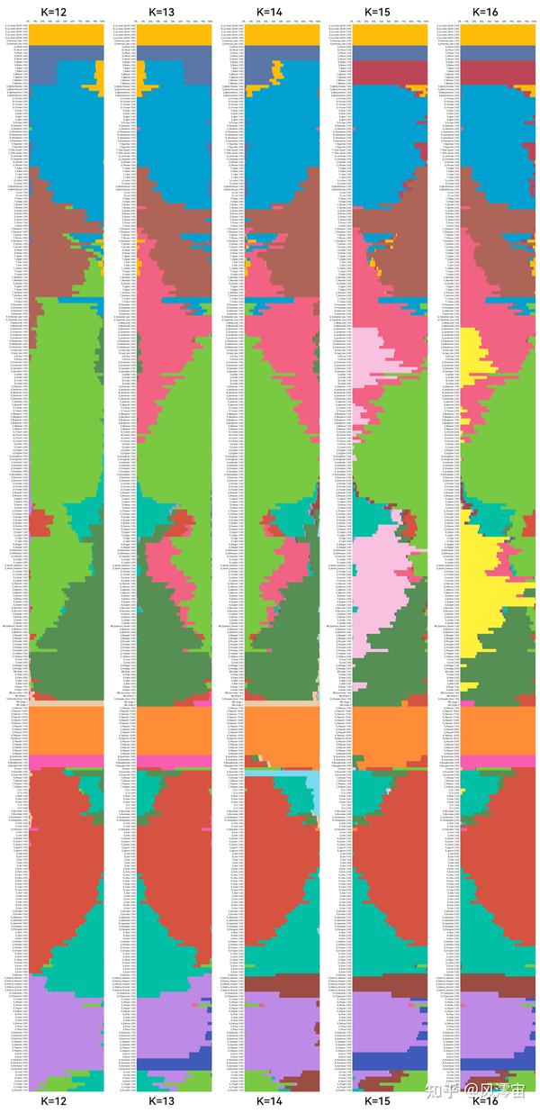 【2022年终总结】将哈佛大学Reich数据包中的352例SGDP样本进行Admixture分析的结果 - 知乎