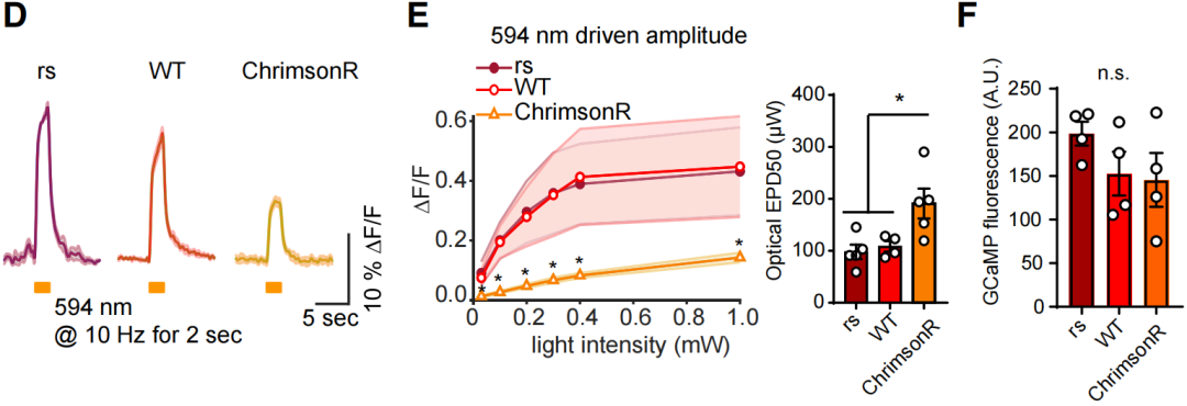 小布解读 | 光敏蛋白还能如此全能？ChRmine全系列各有所长 - 知乎
