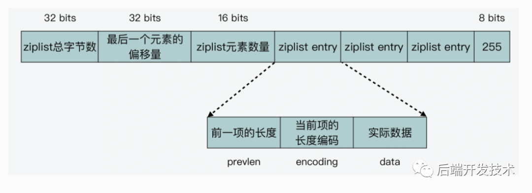 5分钟学会redis原理，ziplist和intset｜原创 知乎 