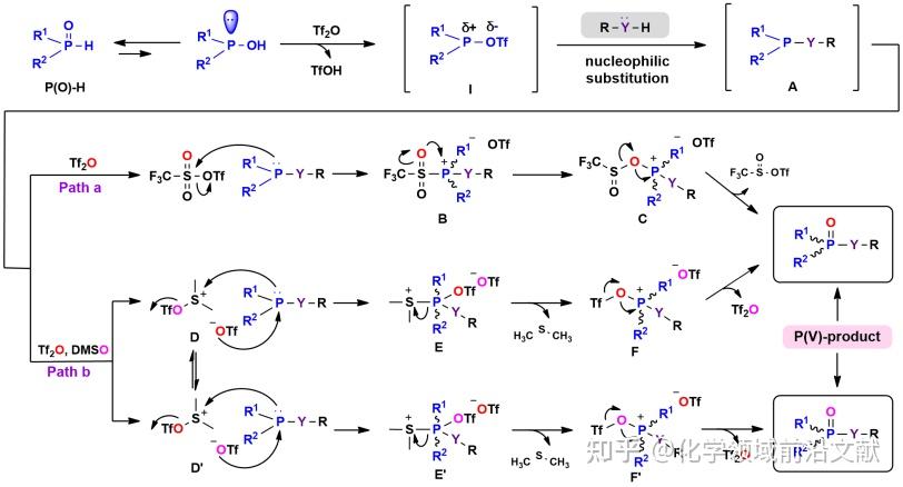 烟台大学杨斌副教授课题组：基于Tf2O/DMSO体系的醇、酚、硫醇、硫酚类化合物与多种磷试剂的脱氢偶联反应 - 知乎