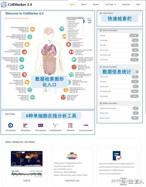 细胞类型注释，用它就够了——CellMarker 2.0 - 知乎