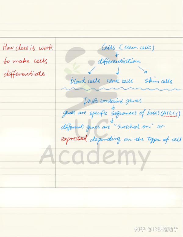 IB生物笔记：Emergent Properties & Differentiation - 知乎