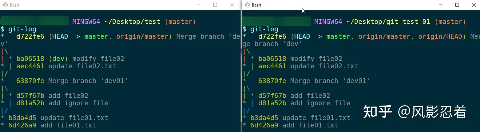 GitHub（九）远程仓库：远程仓库的 clone、fetch、pull - 知乎