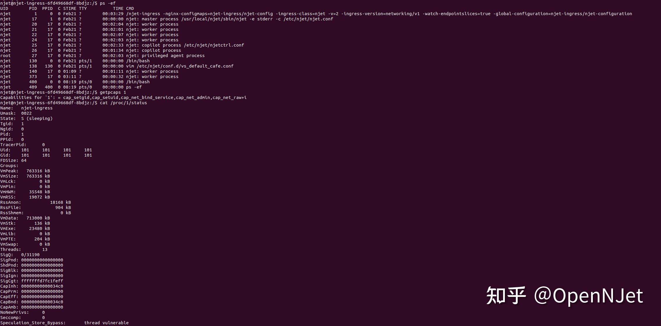 NJet KIC capabilities管理 - 知乎