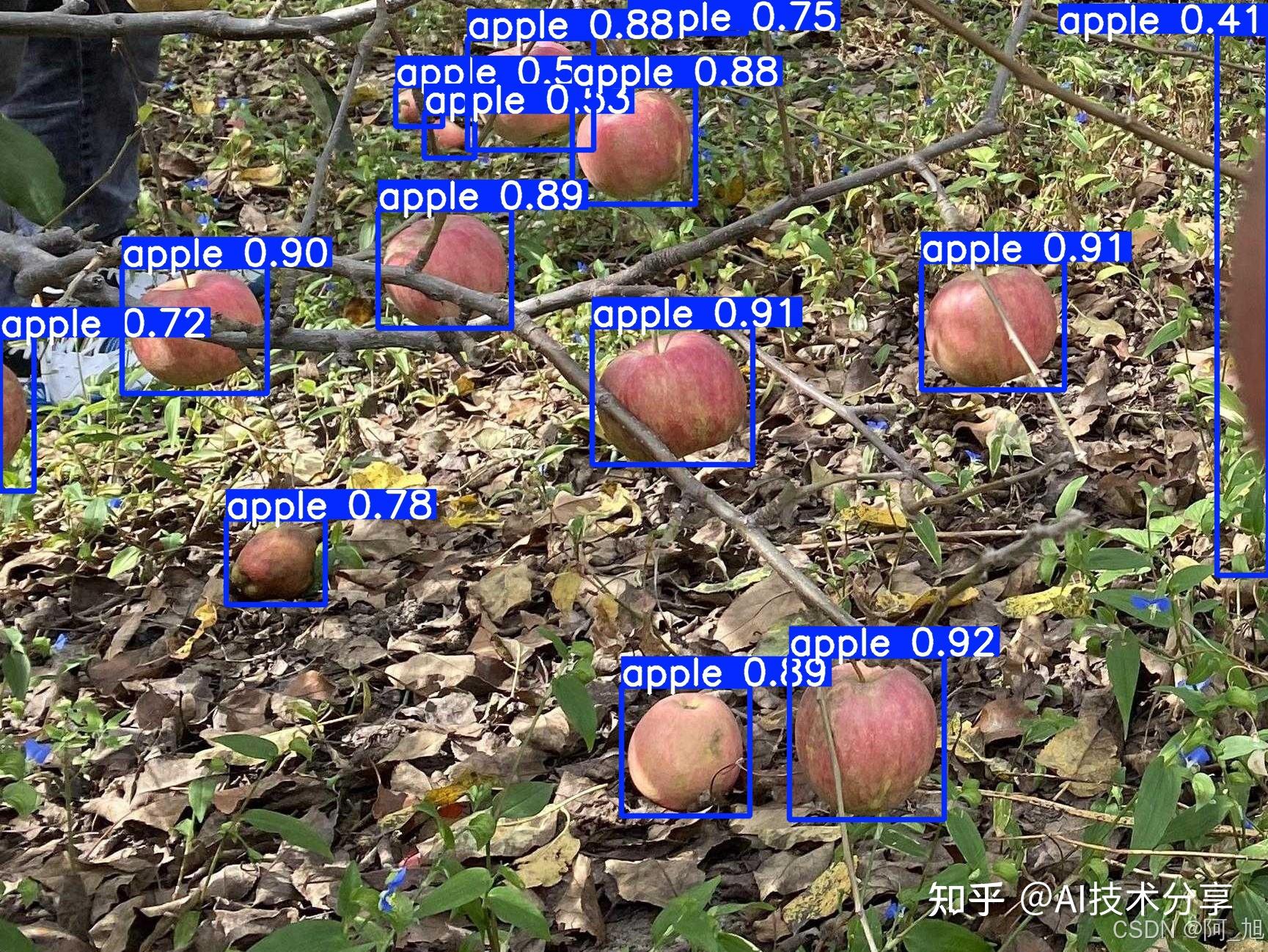基于yolo11深度学习的果园苹果检测与计数系统设计与实现【python源码pyqt5界面数据集训练代码】 知乎