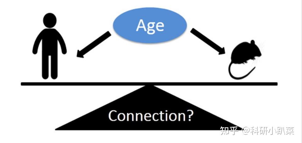实验动物II人类与小鼠的年龄换算 - 知乎