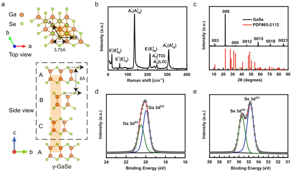 中科院陈岚/吴克辉团队，最新《Nat.Commun.》！ - 知乎