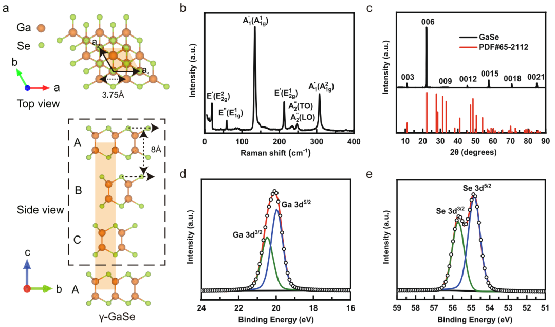 中科院陈岚/吴克辉团队，最新《Nat.Commun.》！ - 知乎