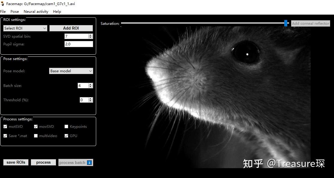Facemap —— 小鼠面部追踪 - 知乎