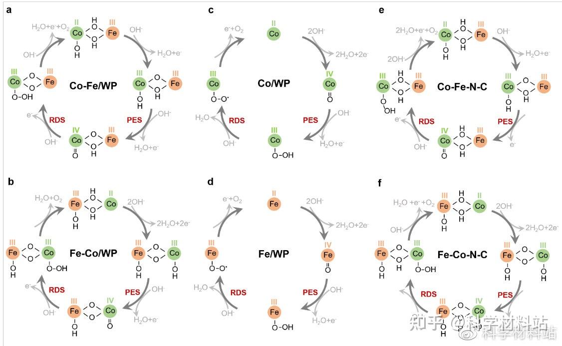 台大陈浩铭教授Angew: 异质原子对构型决定水氧化活性 - 知乎