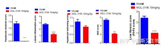 聚光灯下的MGL-3196与NASH模型 - 知乎