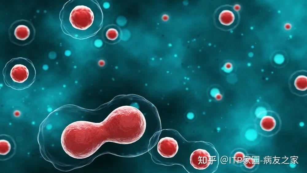 超全整理！血小板减少症的 3 大病因和 3 大对策 知乎