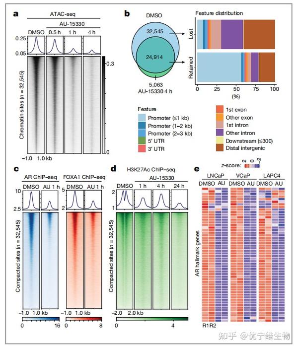 两篇Nature！染色质重塑机制与研究新解 - 知乎