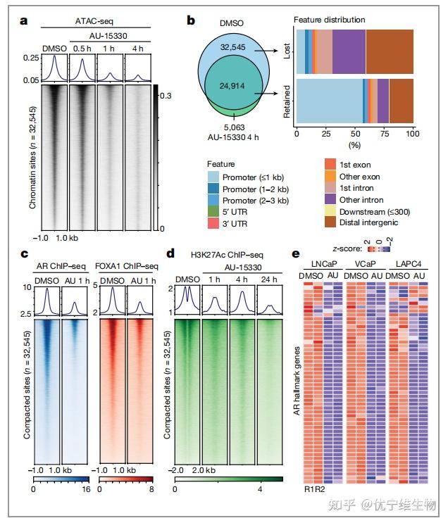 两篇Nature！染色质重塑机制与研究新解 - 知乎