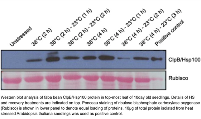 WB的无敌战神之路——WB的内参选择 - 知乎