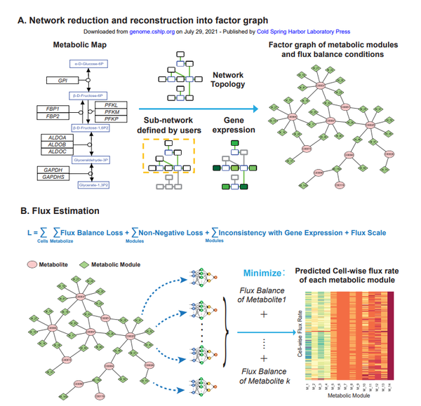 单细胞代谢分析利器——scFEA - 知乎