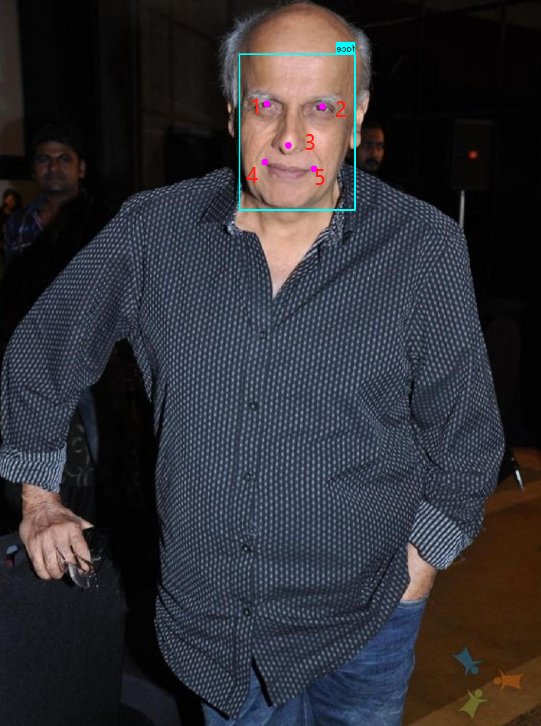 yolo系列之yolov5-face - 知乎