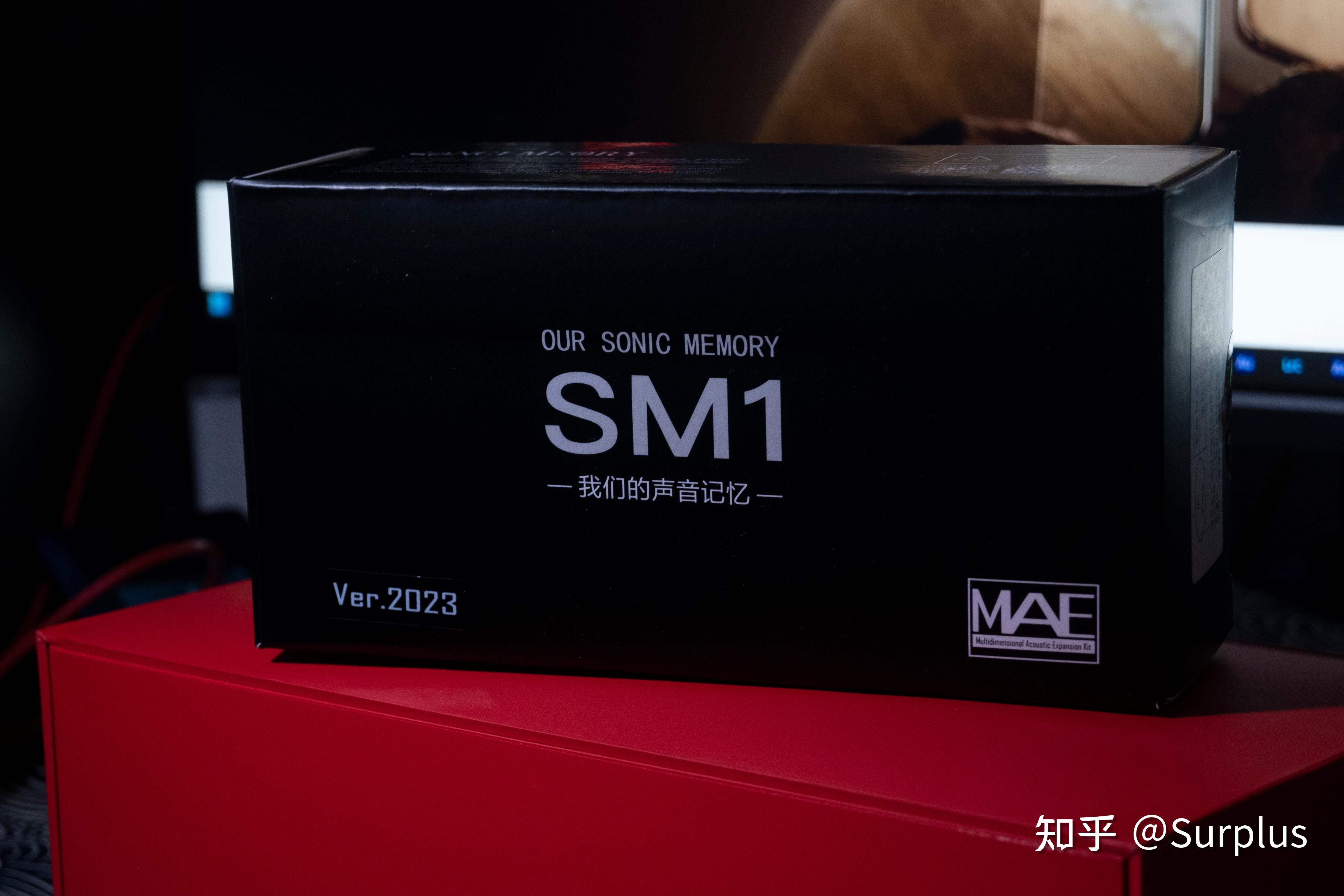 SonicMemory SM1 2023 来自郭编的诚心之作 - 知乎