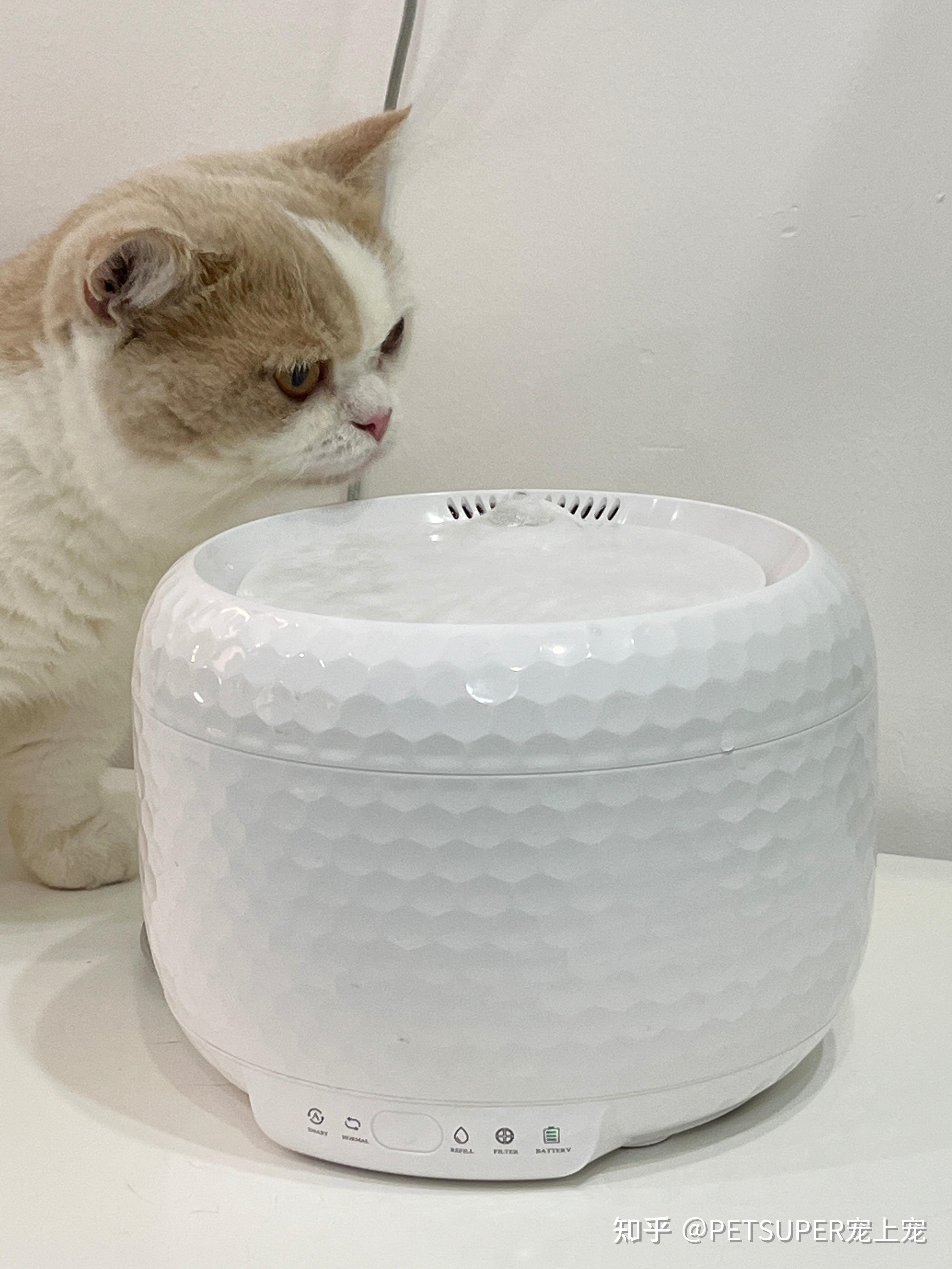 你家猫猫这样喝水吗?建议使用宠上宠宠物饮水机,科技养宠! 知乎