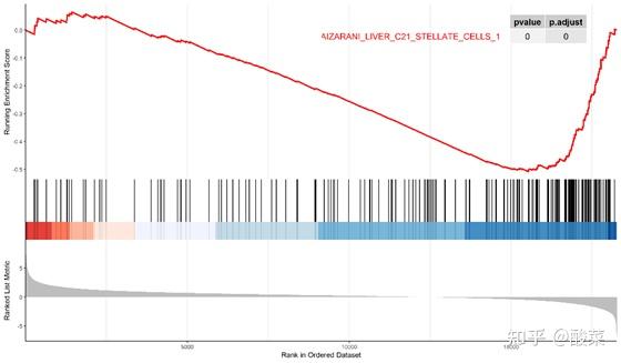 史上最全GSEA可视化教程，今天让你彻底搞懂GSEA！ - 知乎