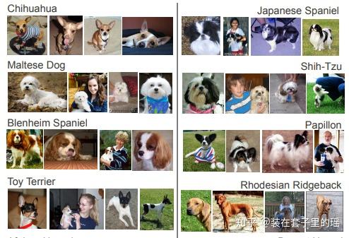 细粒度（Fine-Grained）数据集与Rank榜介绍 - 知乎