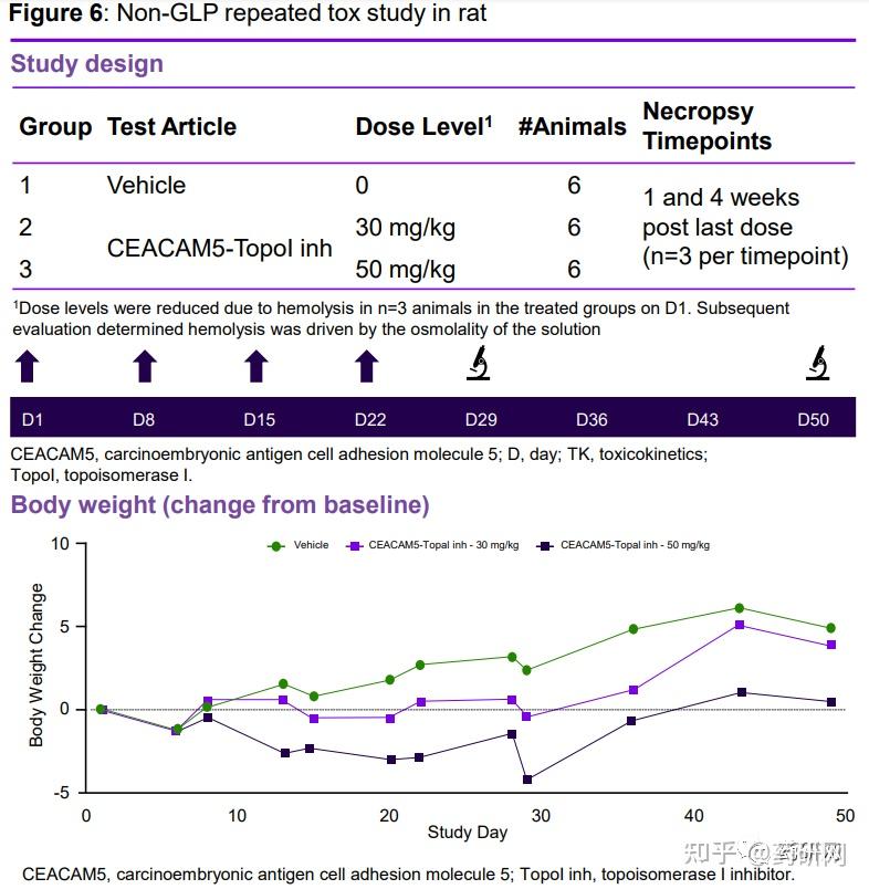 Seagen/Sanofi启动CEACAM5 ADC临床 - 知乎