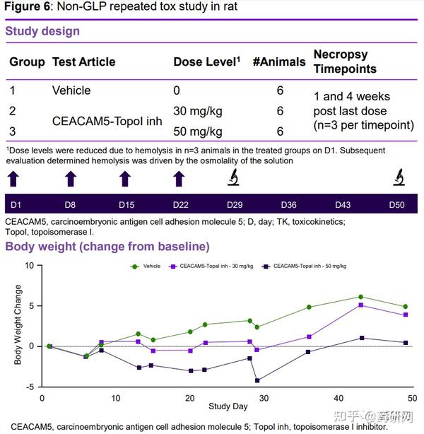 Seagen/Sanofi启动CEACAM5 ADC临床 - 知乎