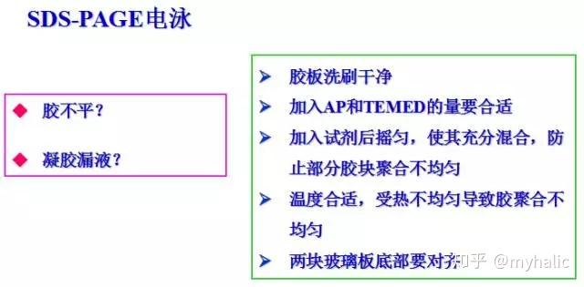 最全Western blot经验大盘点，WB有这一篇就够了 - 知乎