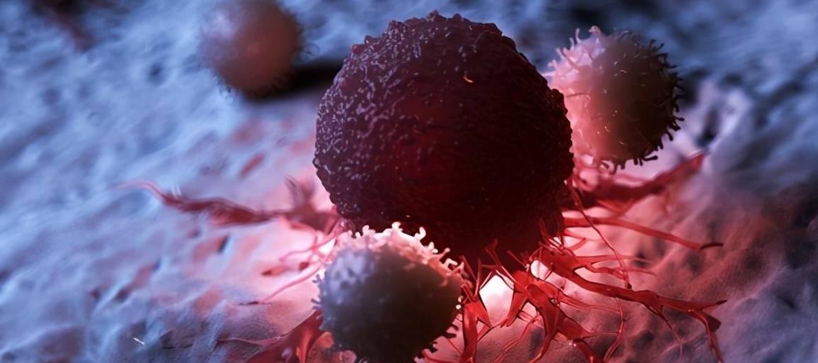 Mol Can | 癌症相关成纤维细胞(CAFs)在癌症免疫疗法中的新机遇和临床试验进展 - 知乎