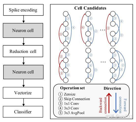 NAS-SNN《Neural Architecture Search for Spiking Neural Networks》 - 知乎