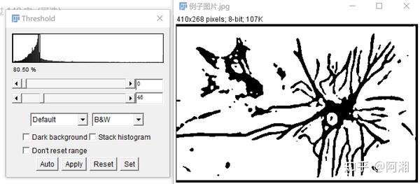 ImageJ分析细胞形态 - 知乎