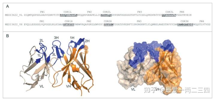 抗TACE抗体作用机制的研究 - 知乎