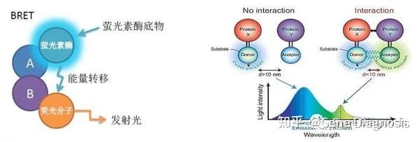 酶标仪的常用功能原理与应用介绍 - 知乎