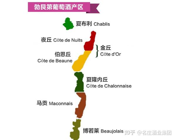 看懂葡萄酒酒标—教你读懂勃艮第葡萄酒标 知乎