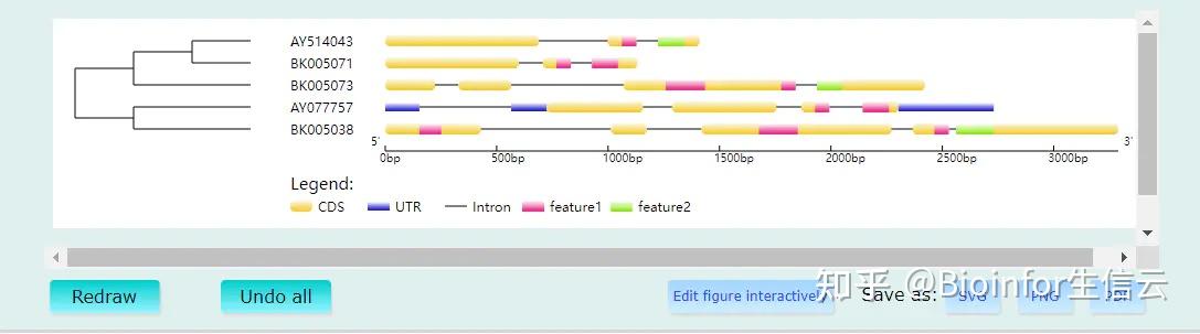 基因家族分析（5）绘制基因结构图 - 知乎